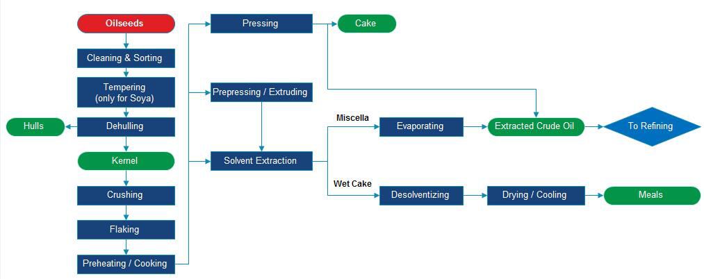 Castor Oil Manufacturing Plant|Oil Extraction and Refinery
