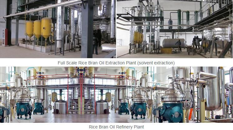 Things Your Should Know Before Buy Rice Bran Oil Machines
